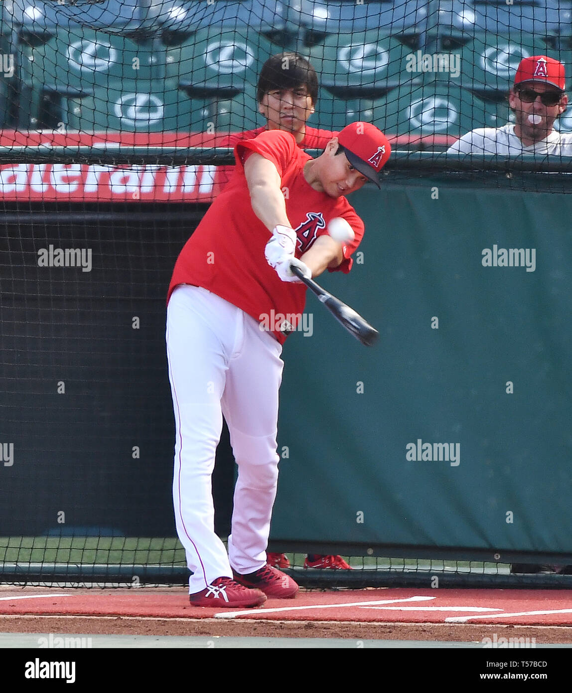 Los Angeles Angels' Shohei Ohtani takes batting practice before the ...