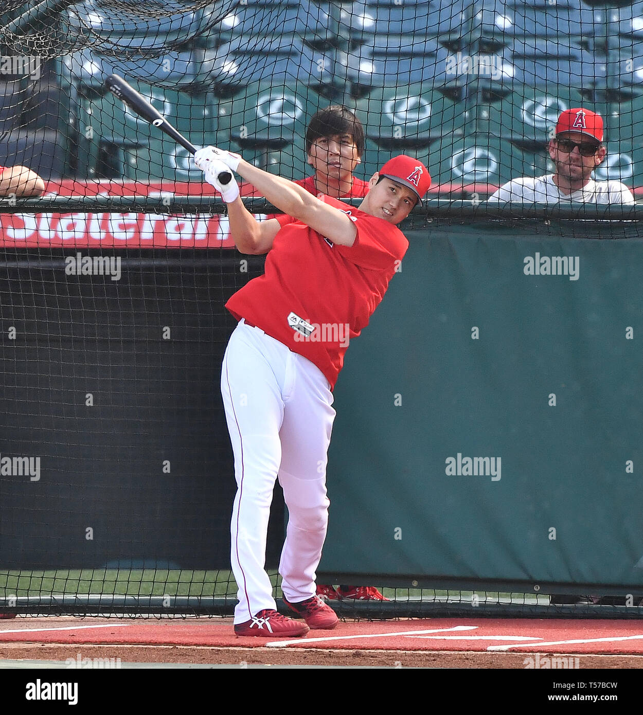 Los Angeles Angels' Shohei Ohtani takes batting practice before the ...