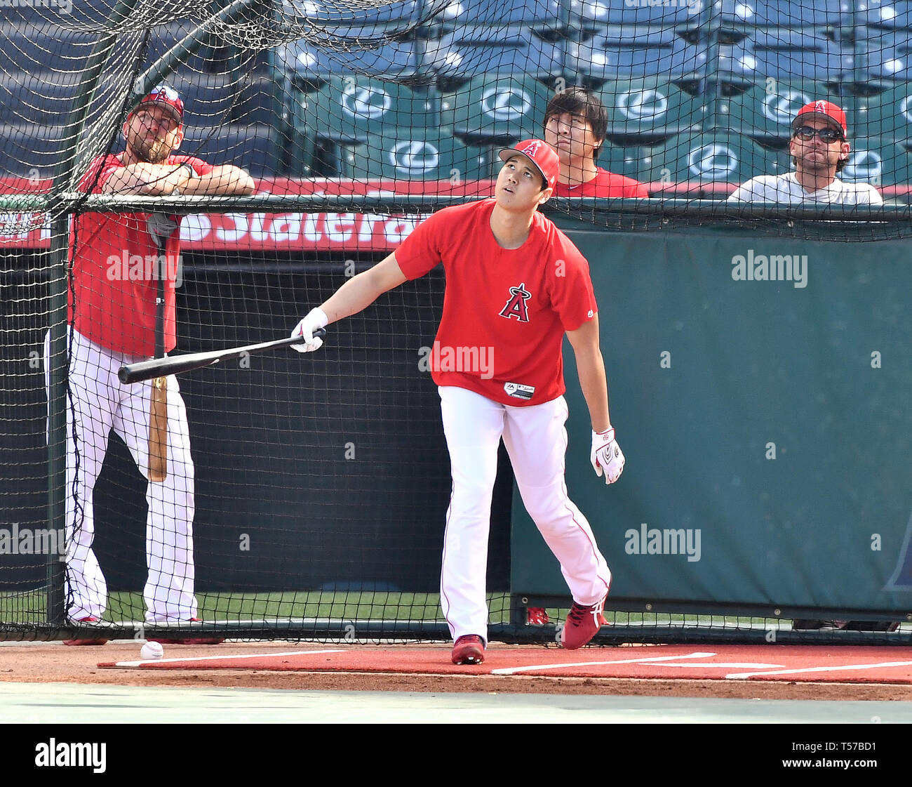 Los Angeles Angels' Shohei Ohtani takes batting practice before the ...