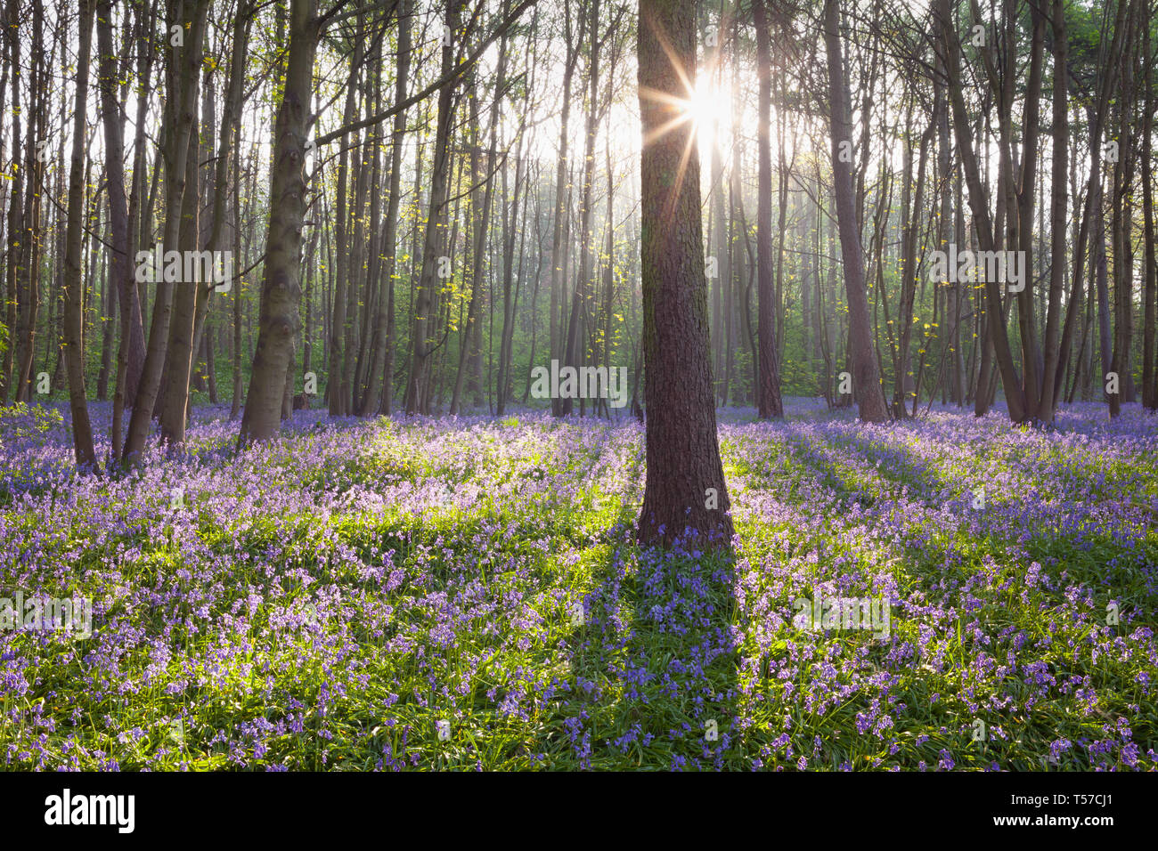 Scunthorpe north lincolnshire england hi-res stock photography and ...