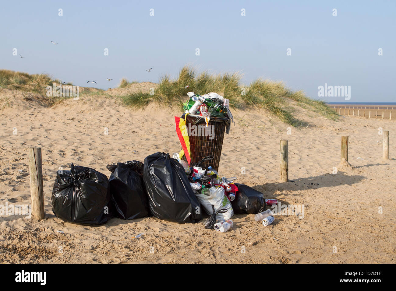 Before and after dirty and clean beach hi-res stock photography and ...