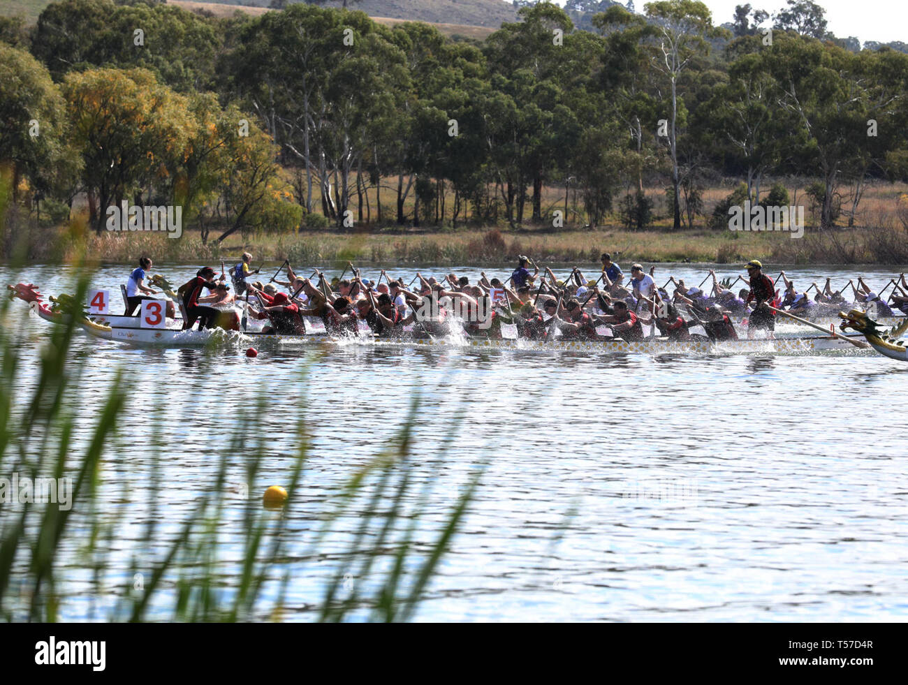 Australian Dragon Boat High Resolution Stock Photography and Images - Alamy