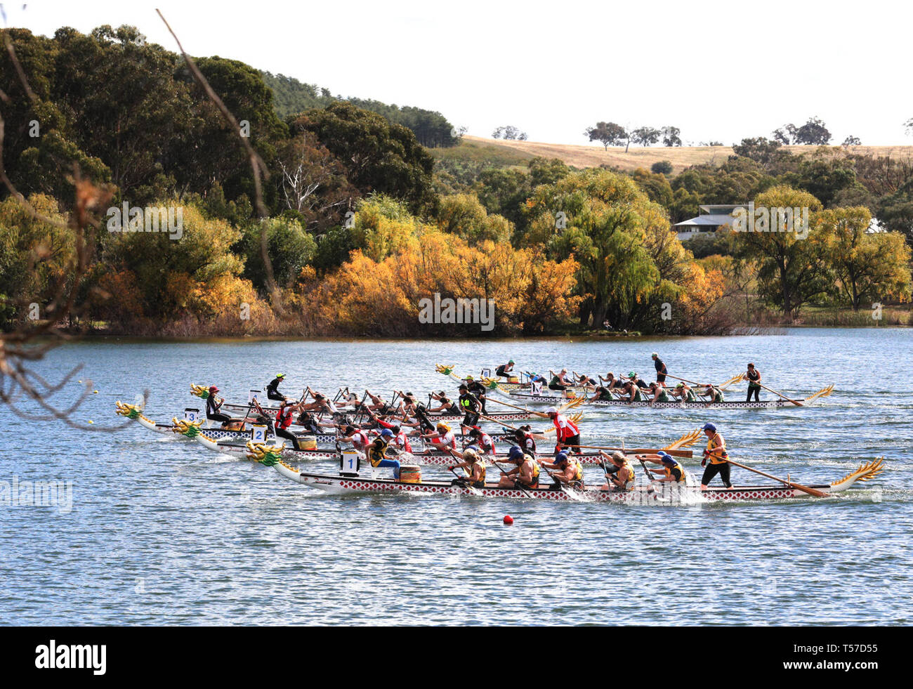 Australian dragon boat hi-res stock photography and images - Alamy