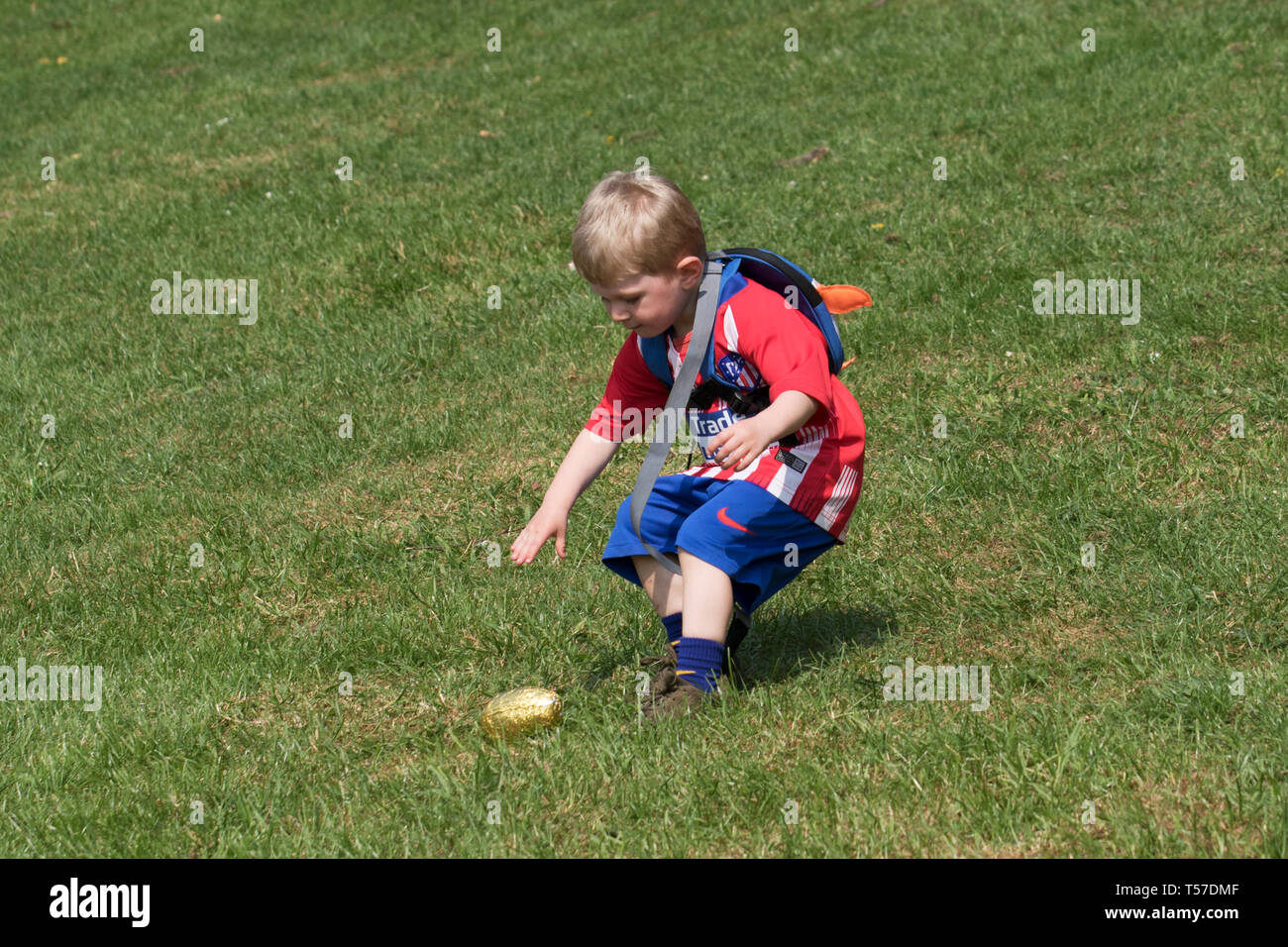 Old english game eggs hi-res stock photography and images - Alamy