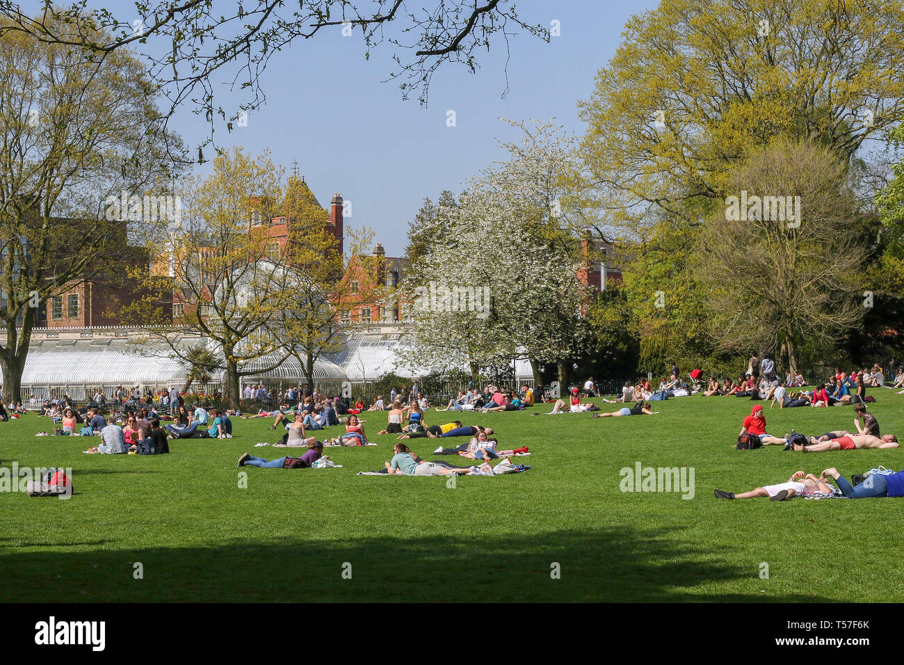 Botanic gardens belfast hi-res stock photography and images - Alamy