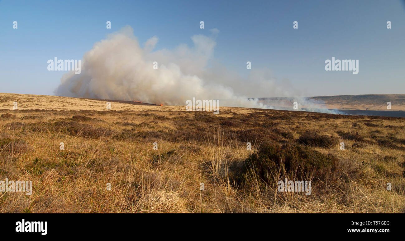 Moorland fire marsden moor hi-res stock photography and images - Alamy