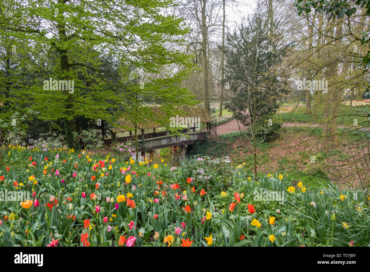 Floralia 2019 event at the castle of Grand Bigard Stock Photo - Alamy