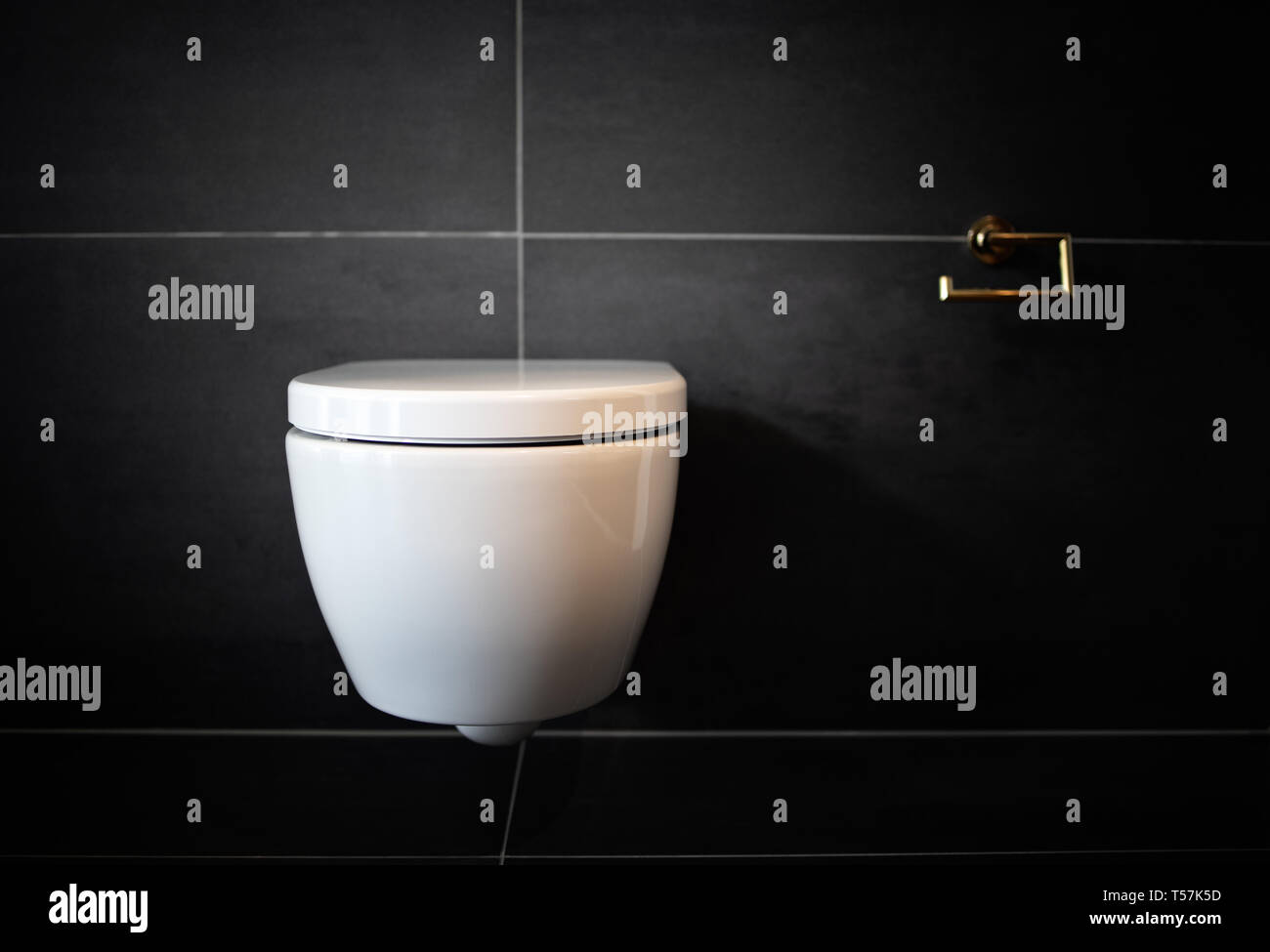 Bathroom modern toilet bowl. Clean toilet bathroom. No paper Stock ...