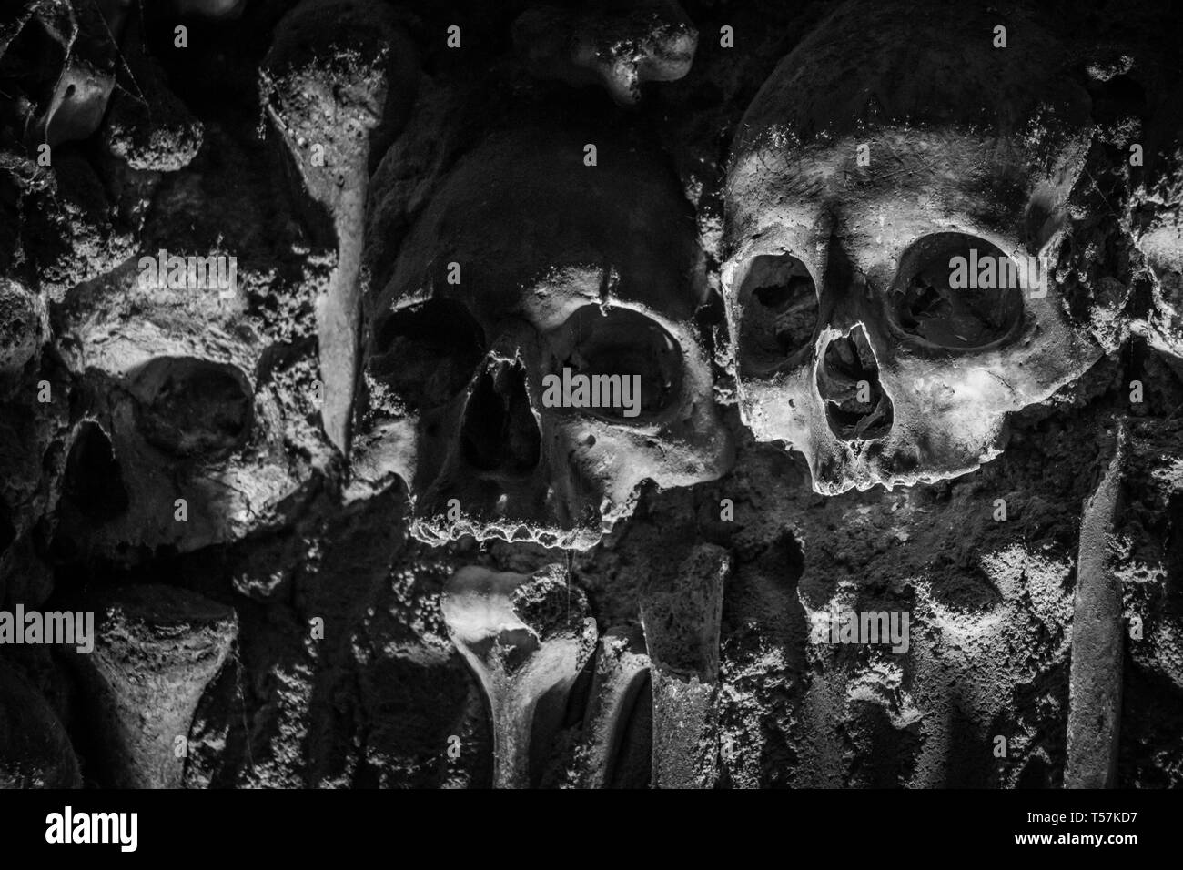 Human skulls and bones Black and White Stock Photos & Images - Alamy