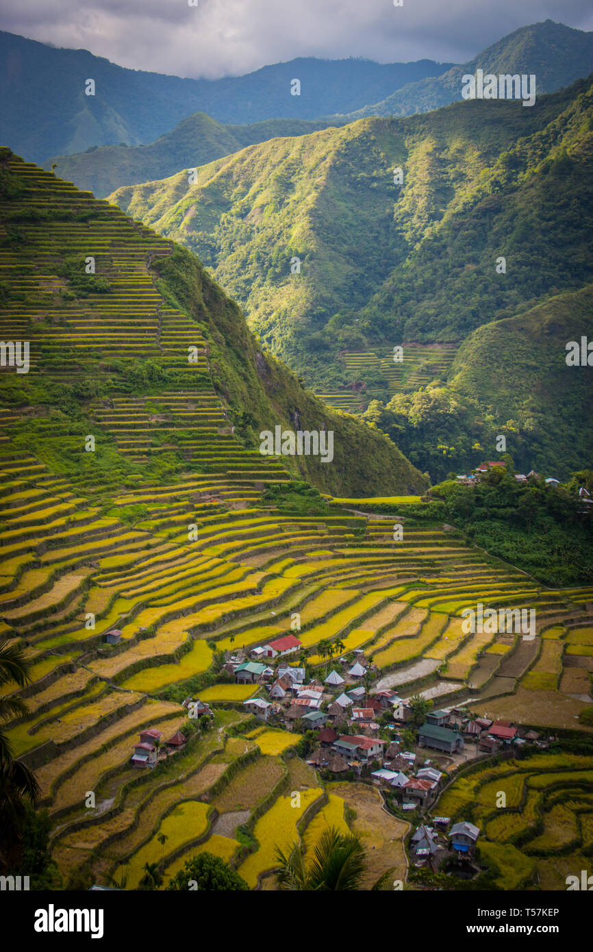 Terrace farms southeast asia hi-res stock photography and images - Alamy