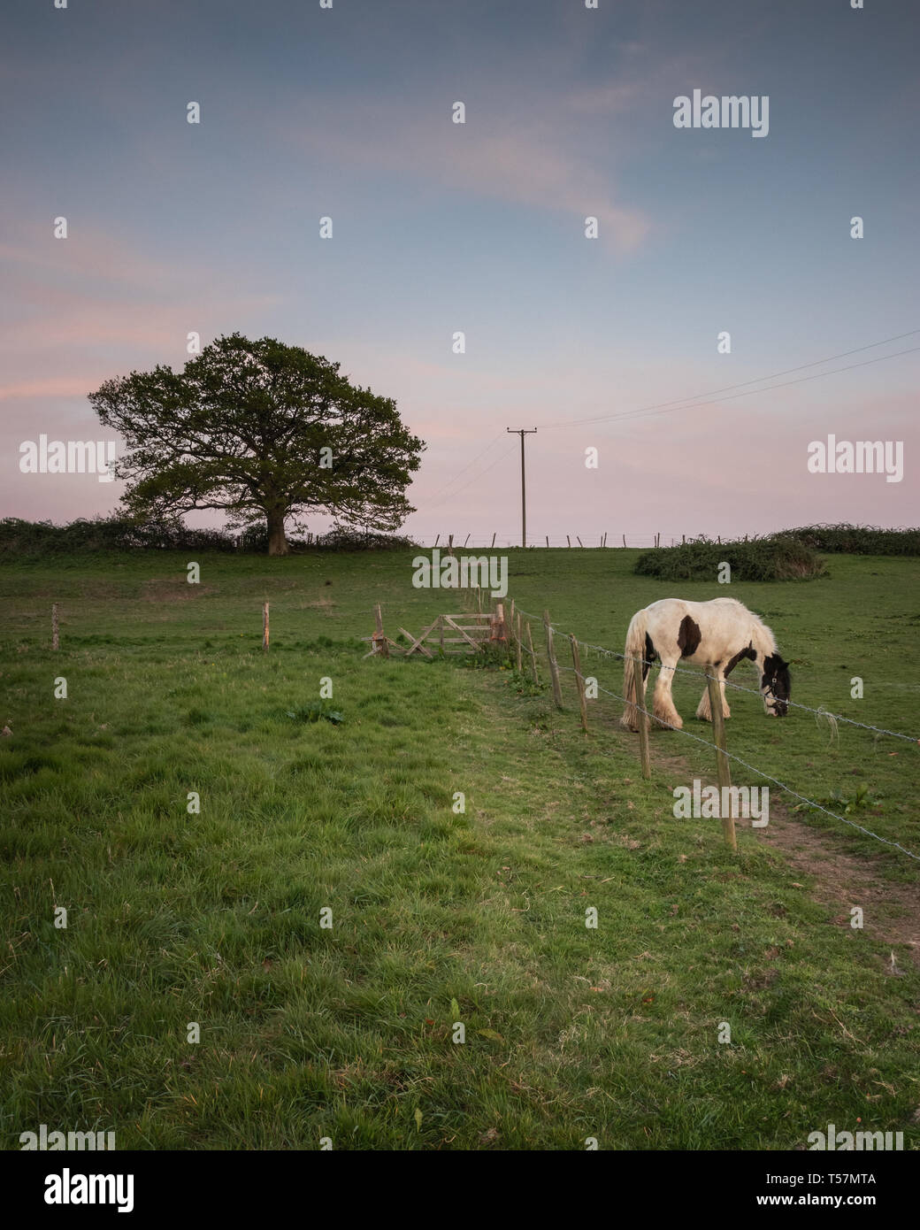 English meadows hi-res stock photography and images - Alamy