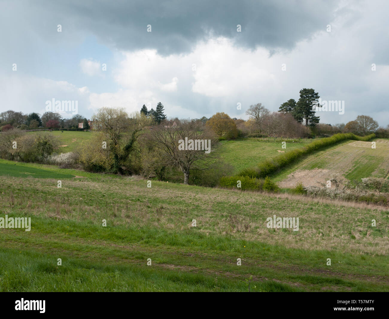 Beautiful outside country spring fields meadows trees sky farmland ...