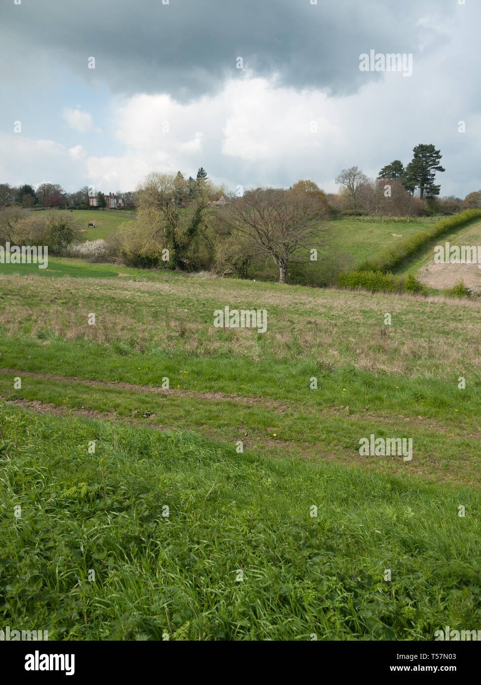 Beautiful outside country spring fields meadows trees sky farmland ...