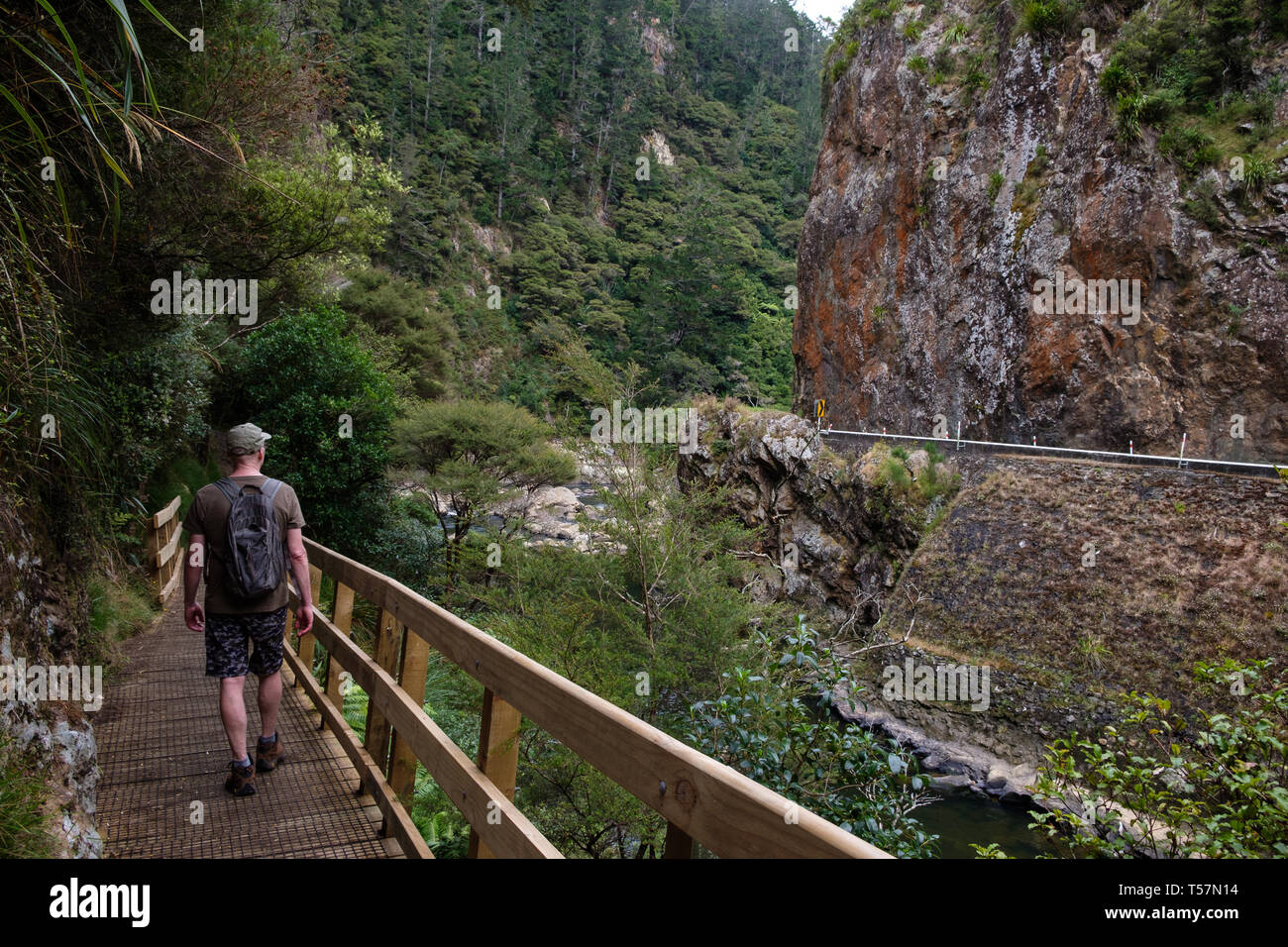 Karangahake gorge new zealand hi-res stock photography and images - Alamy