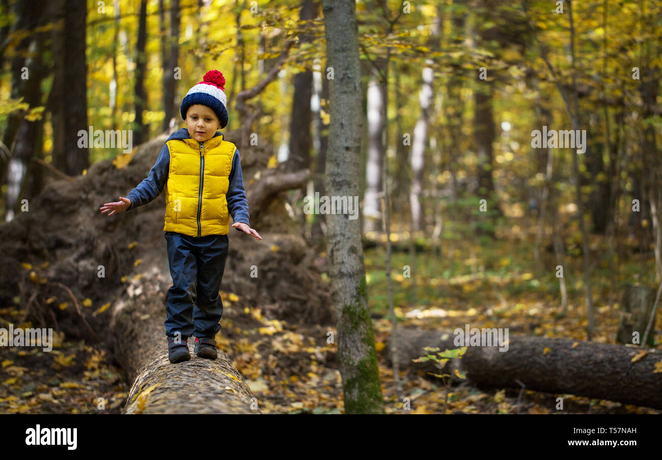 A little boy in a cap walks on a log keeping balance in the autumn park ...