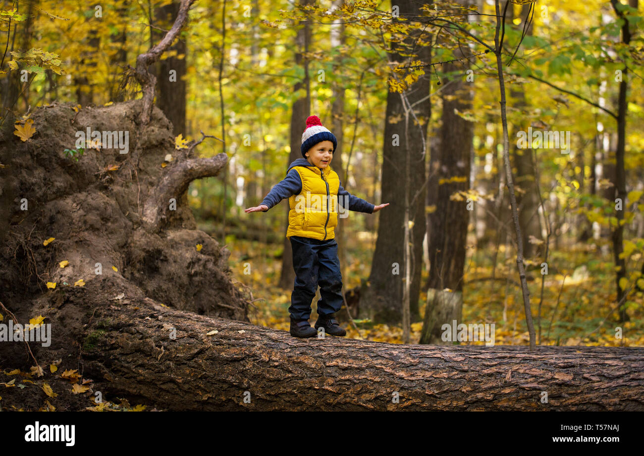 A little boy in a cap walks on a log keeping balance in the autumn park ...