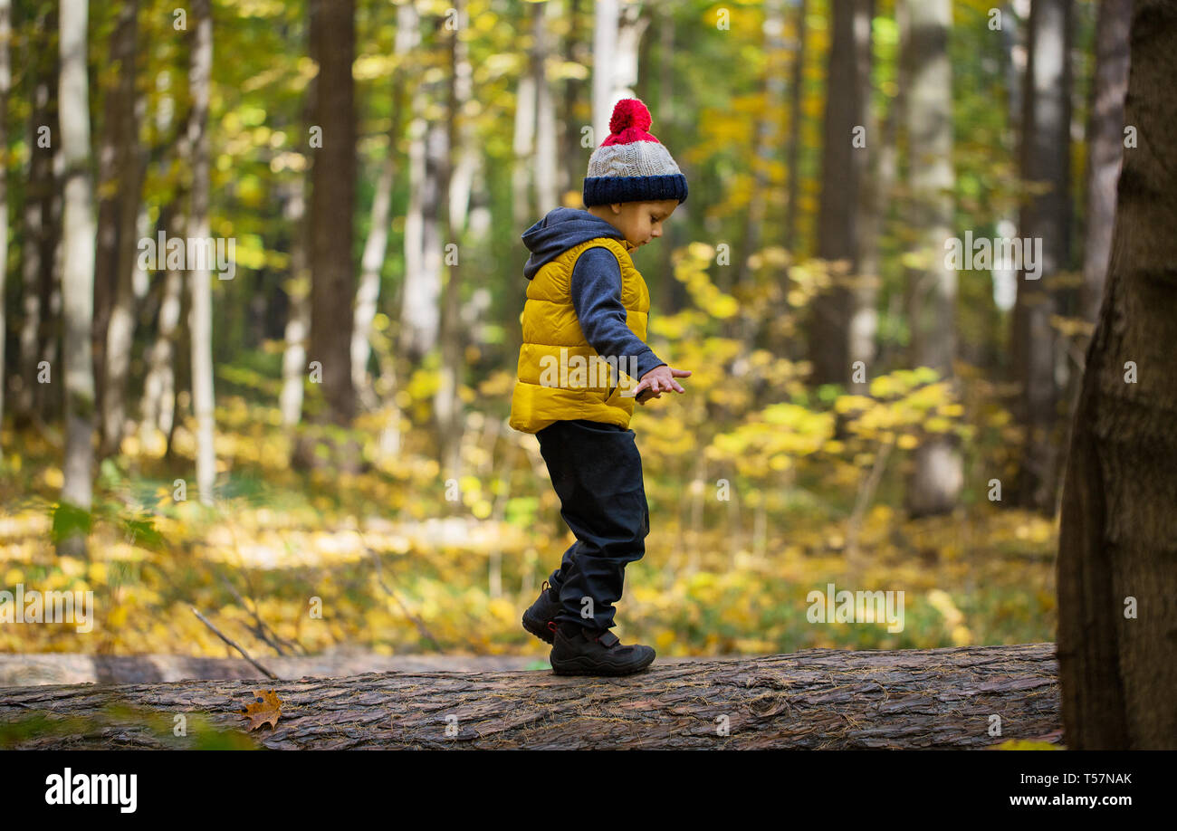 Log keeping hi-res stock photography and images - Alamy