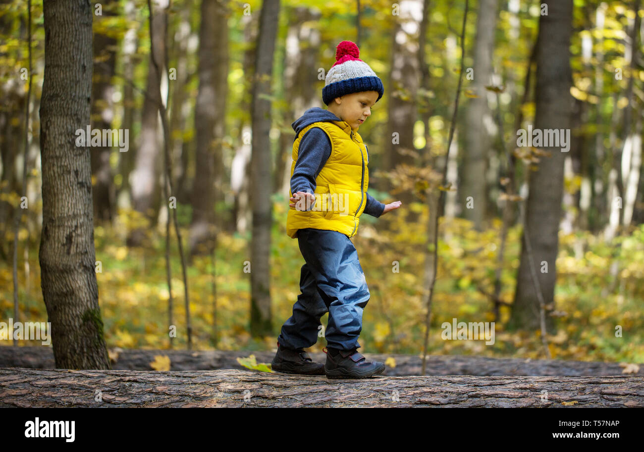 Log keeping hi-res stock photography and images - Alamy