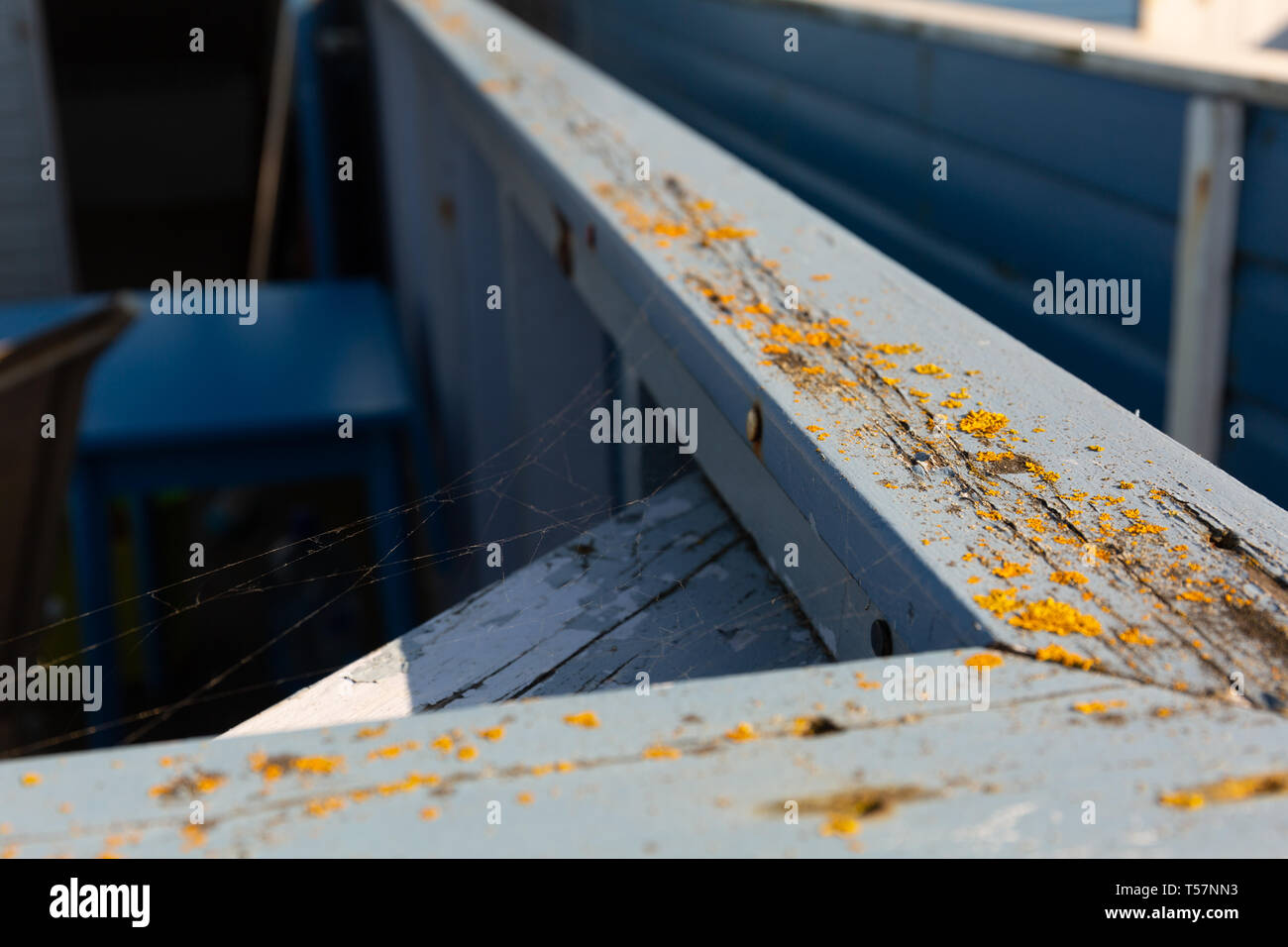 Well rotted wood hi-res stock photography and images - Alamy