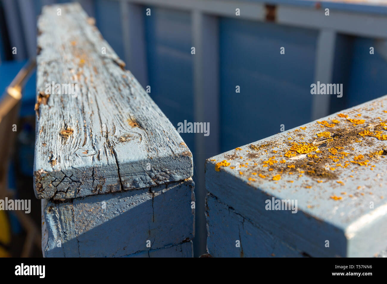 Weathered wood in a beach hut in Frinton-on-Sea, Essex UK Stock Photo ...