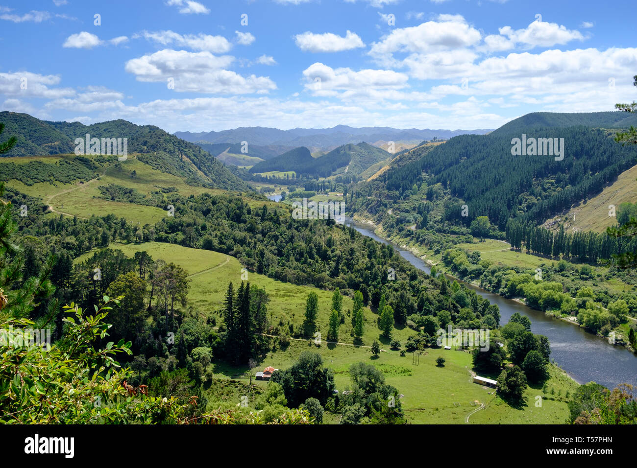 New zealand whanganui river hi-res stock photography and images - Alamy