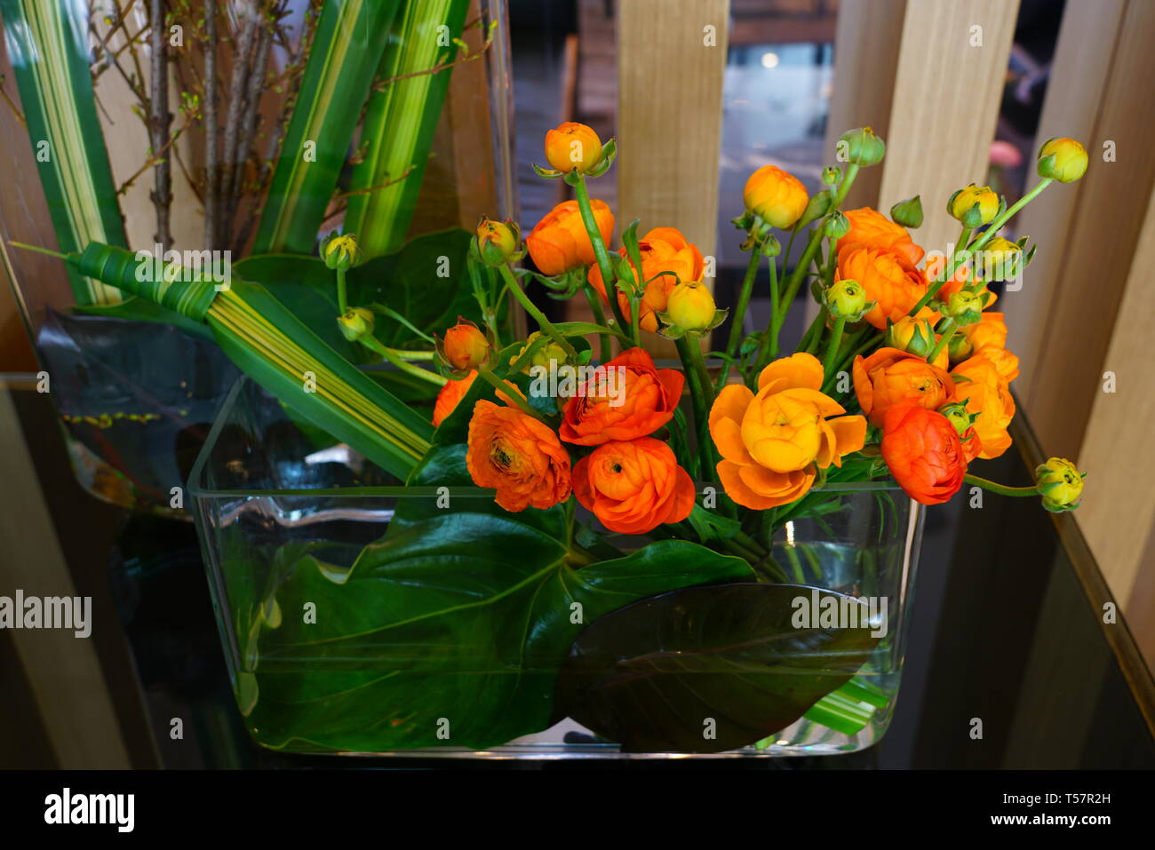 Bouquet of orange ranunculus flower in bloom in a clear vase Stock ...