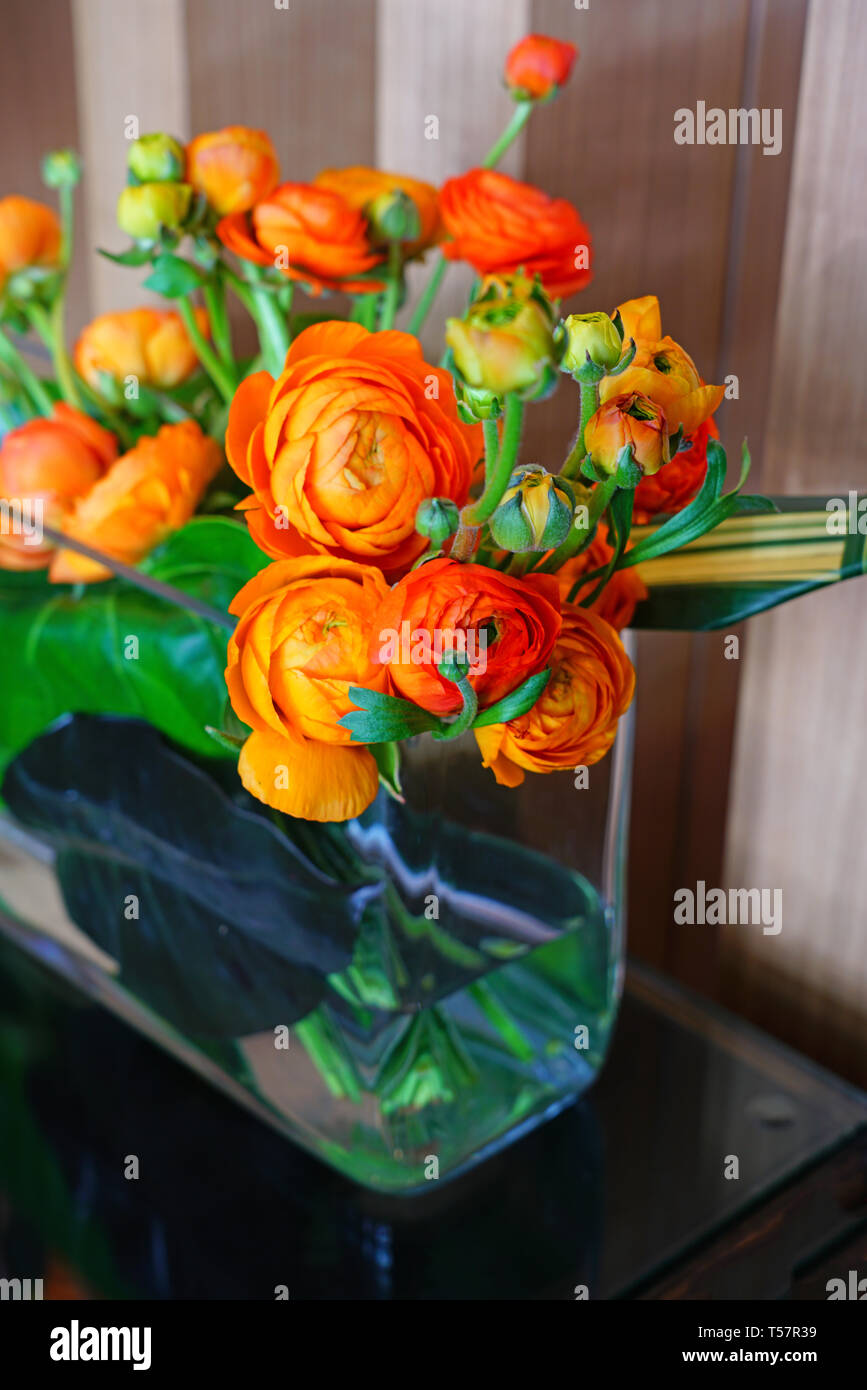 Bouquet of orange ranunculus flower in bloom in a clear vase Stock ...