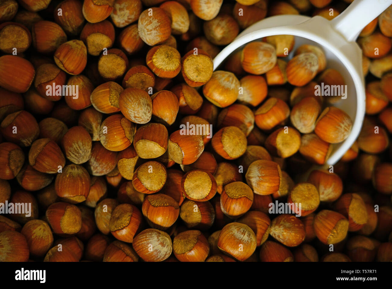 Dried hazelnuts in the shell at a farmers market Stock Photo - Alamy