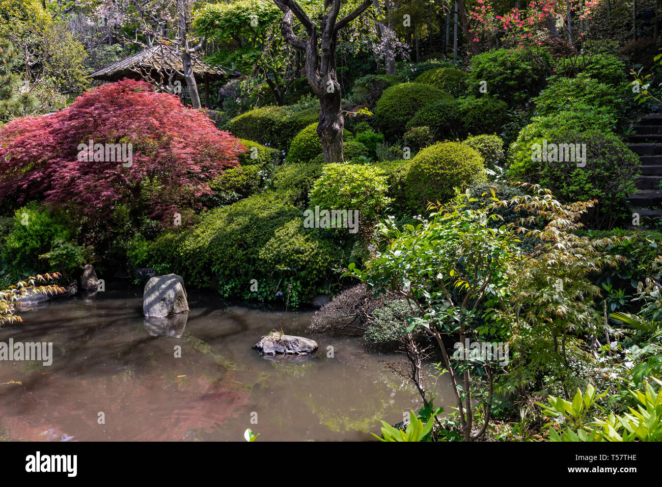 Edo period architecture hi-res stock photography and images - Alamy
