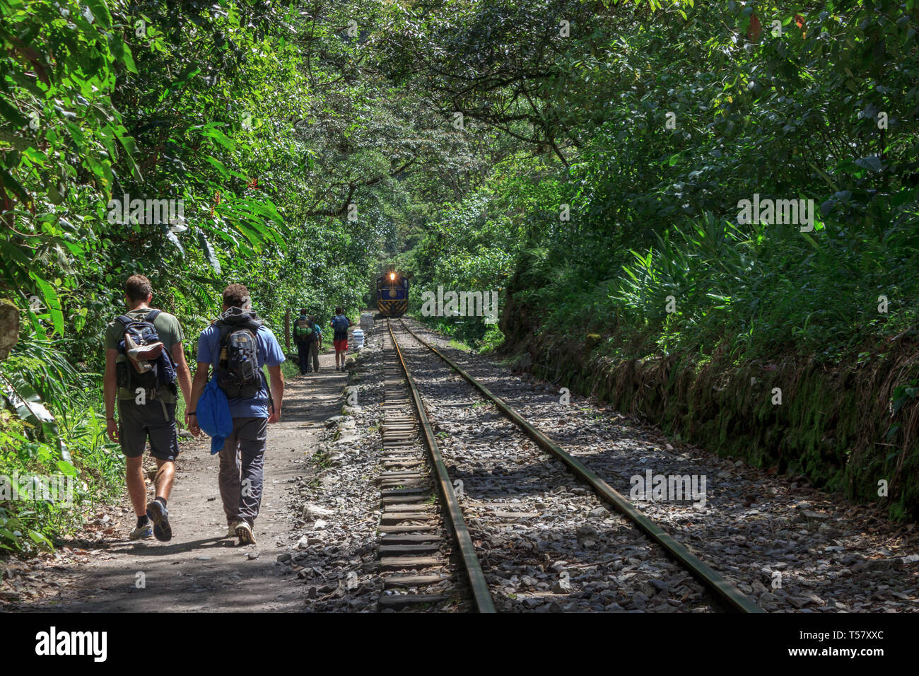 hikers at tracks to machu picchu, peru Stock Photo - Alamy