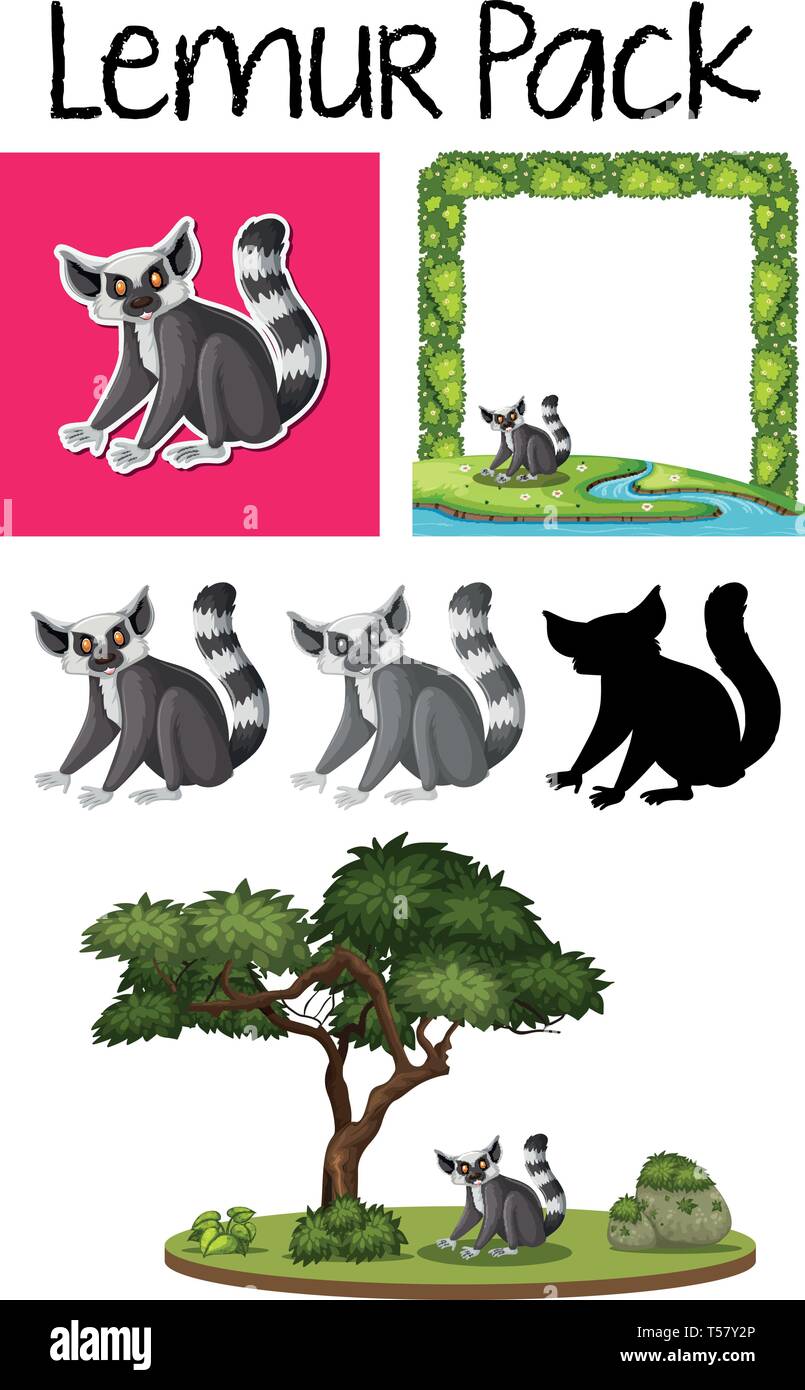 Pack of lemur character illustration Stock Vector Image & Art - Alamy