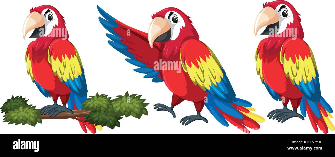 Set of parrot character illustration Stock Vector Image & Art - Alamy