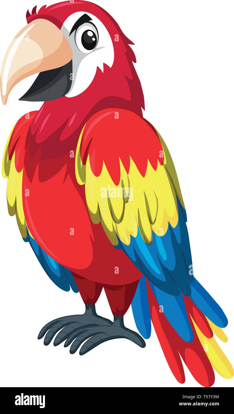 A red parrot character illustration Stock Vector Image & Art - Alamy