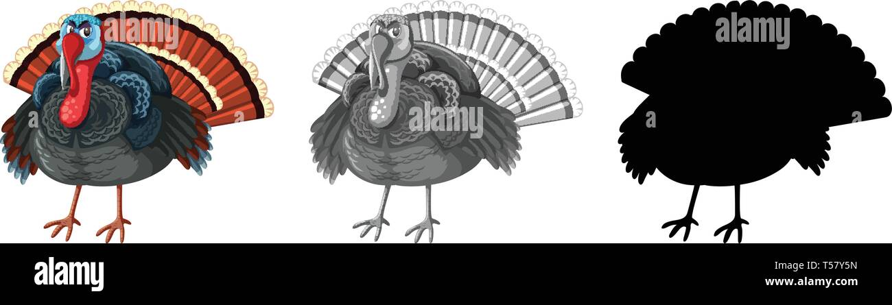 Set of turkey character illustration Stock Vector Image & Art - Alamy