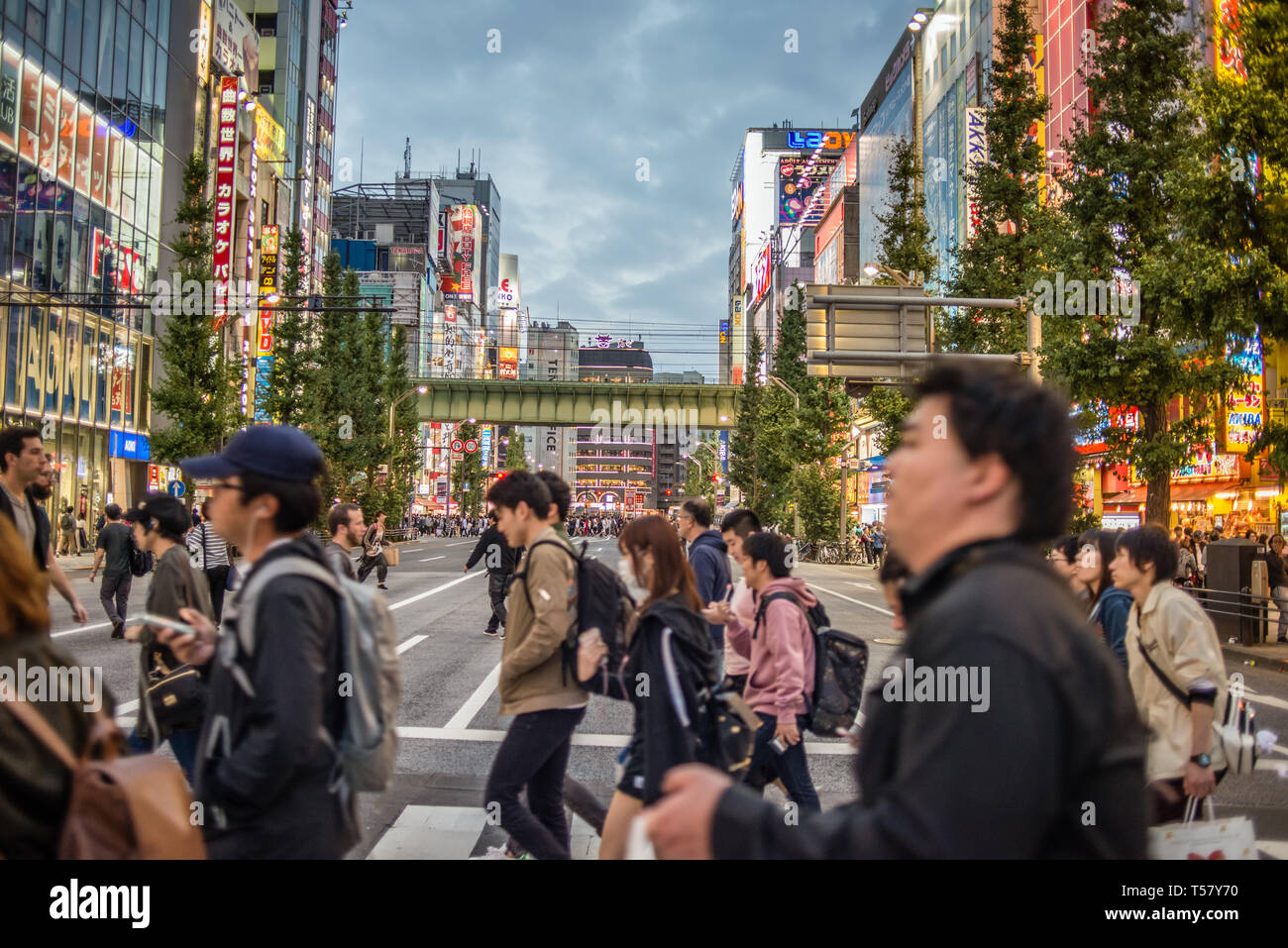 Akihabara district, Tokyo, Japan Stock Photo - Alamy