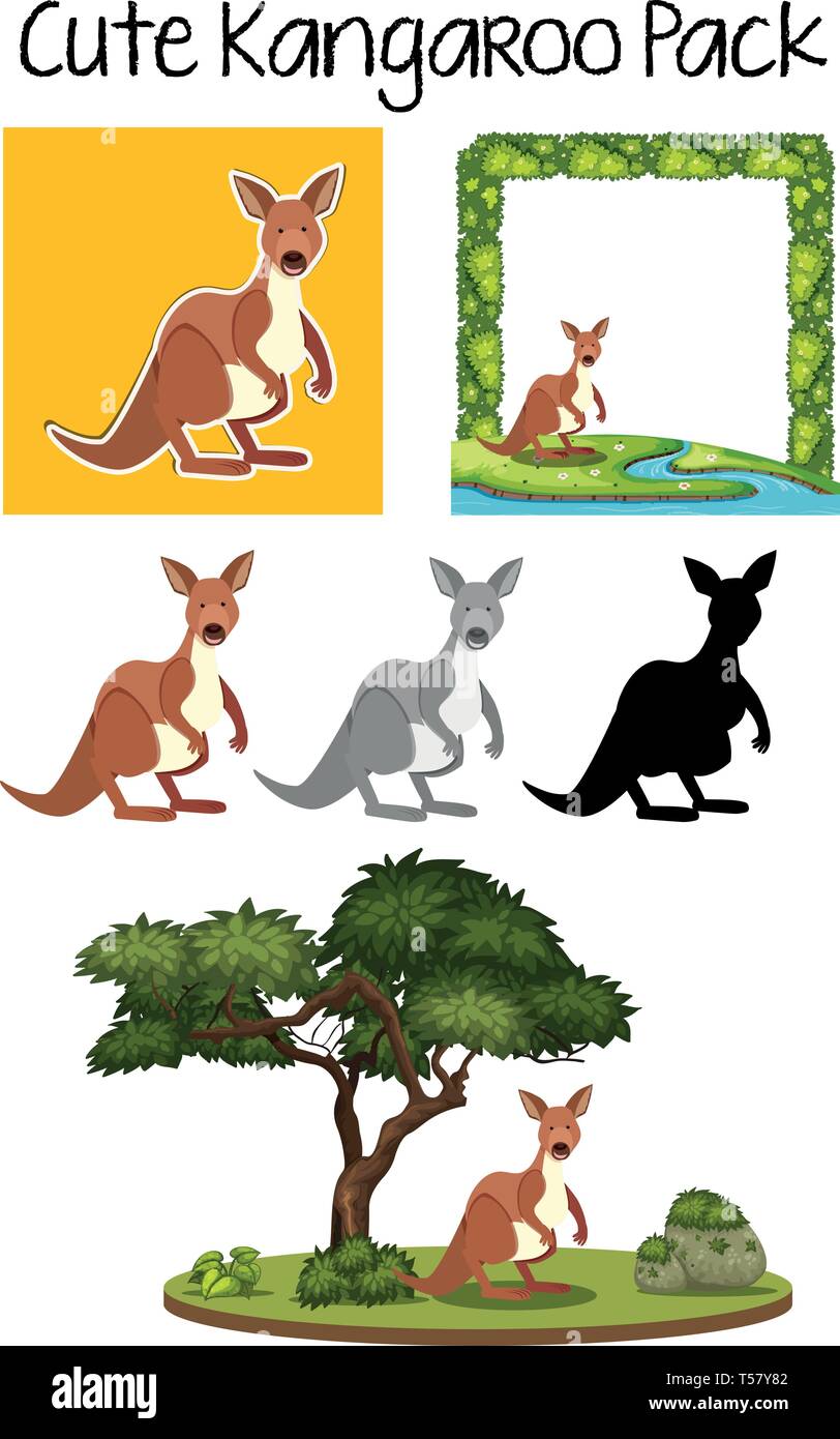 Kangaroo pack hi-res stock photography and images - Alamy