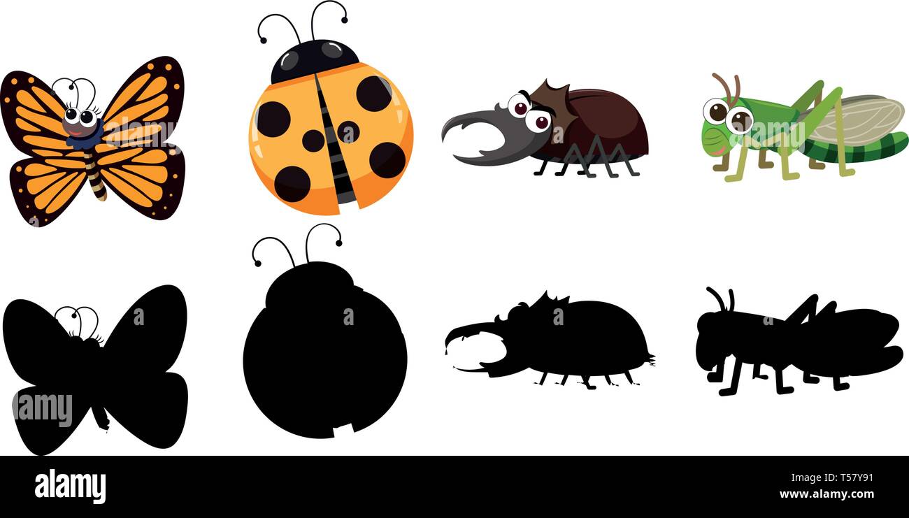 Set of various insect illustration Stock Vector Image & Art - Alamy