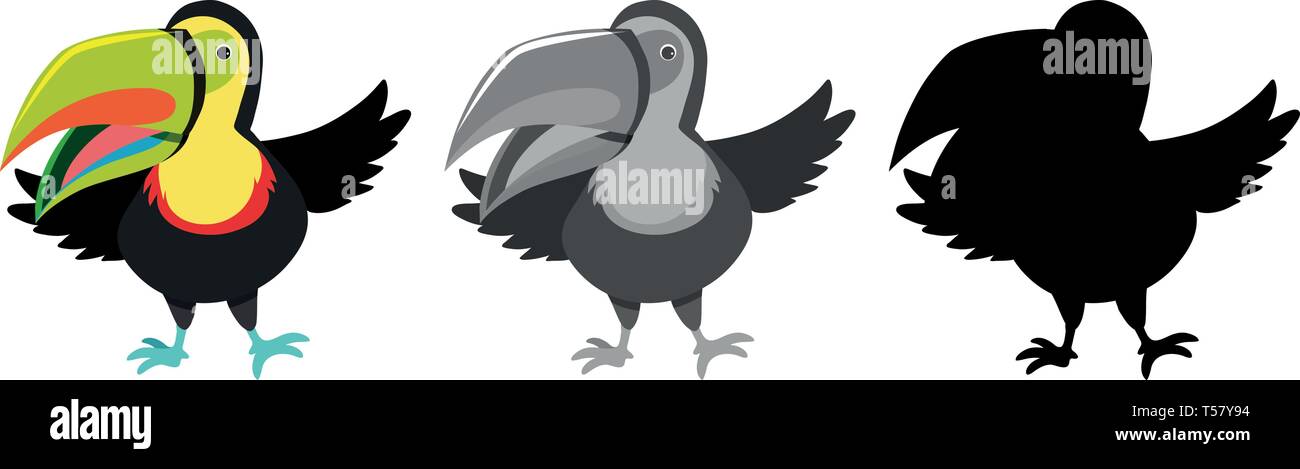 Set of toucan character illustration Stock Vector Image & Art - Alamy