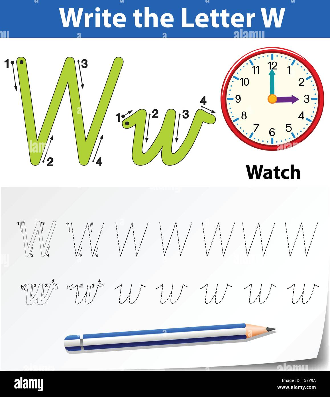 Letter W tracing alphabet worksheets illustration Stock Vector Image ...