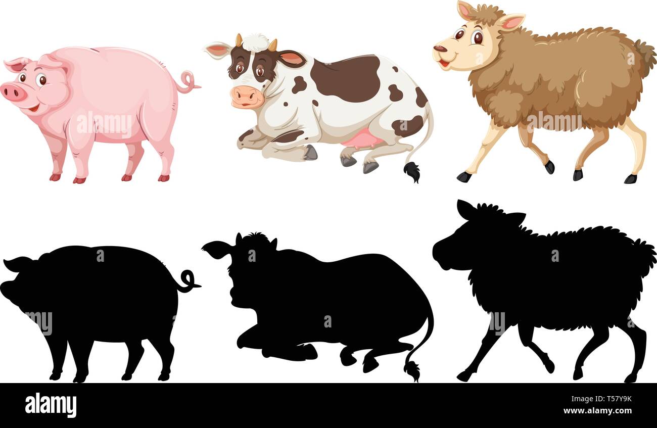 Colour animal animals collection cartoon hi-res stock photography and ...