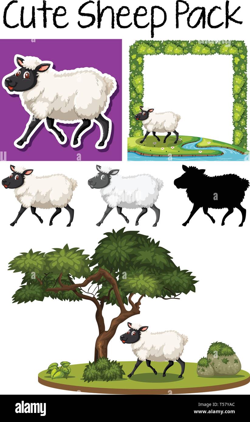 Pack of cute sheep illustration Stock Vector Image & Art - Alamy