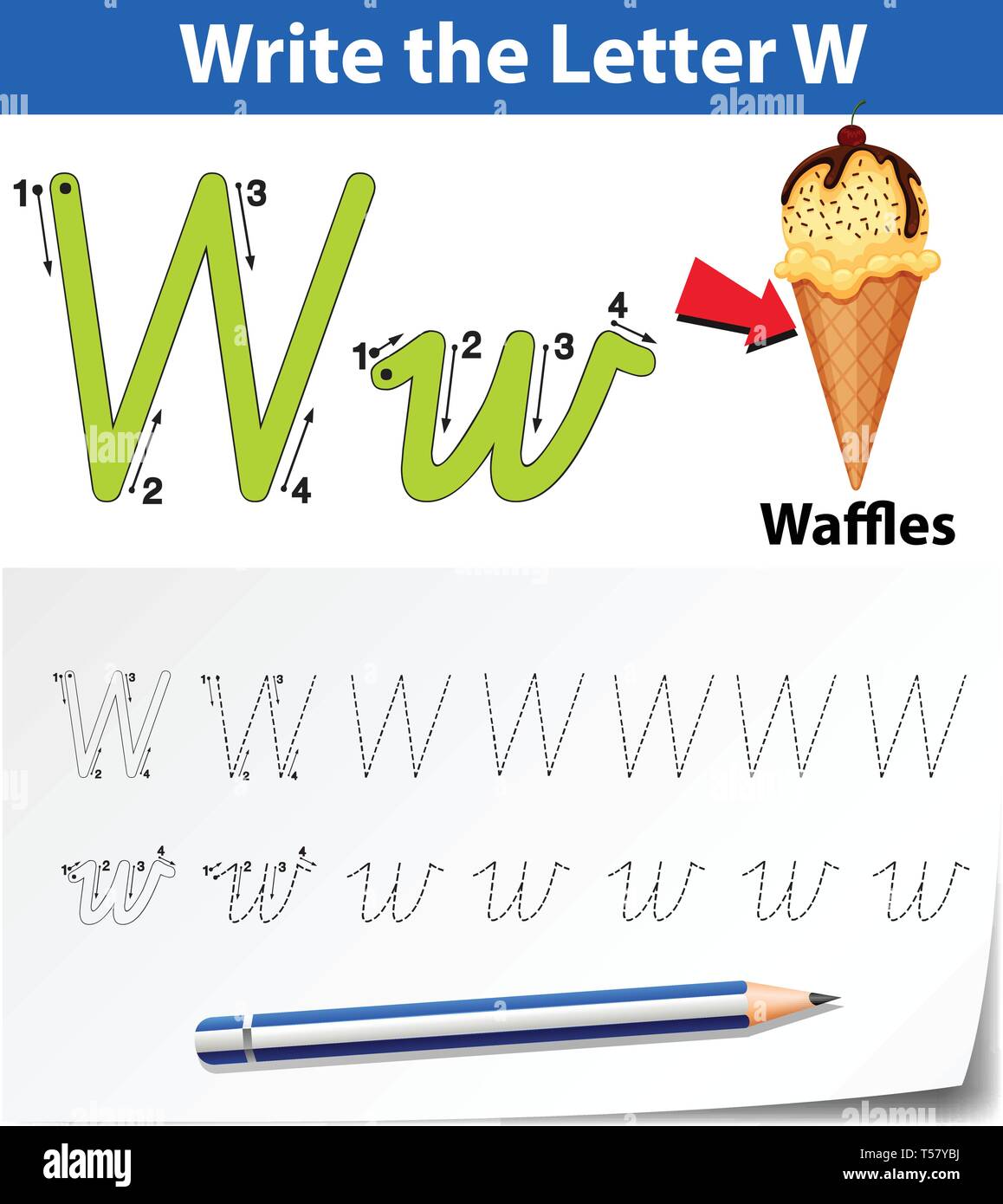 Letter W tracing alphabet worksheets illustration Stock Vector Image ...