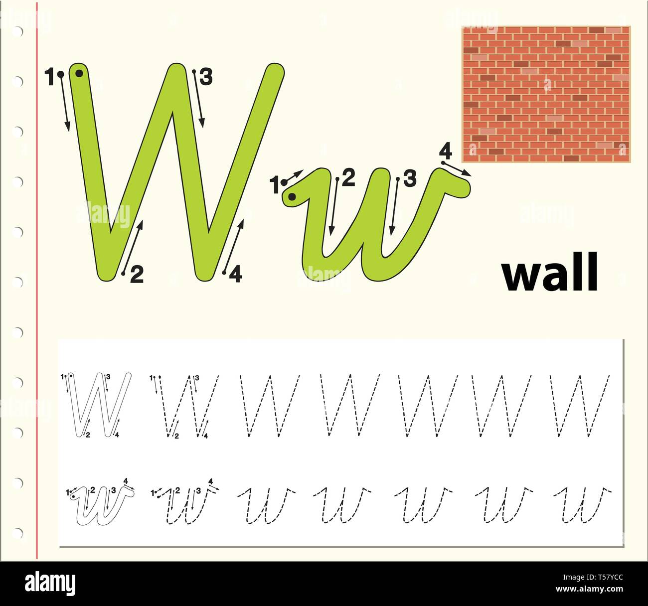 Letter W tracing alphabet worksheets illustration Stock Vector Image ...