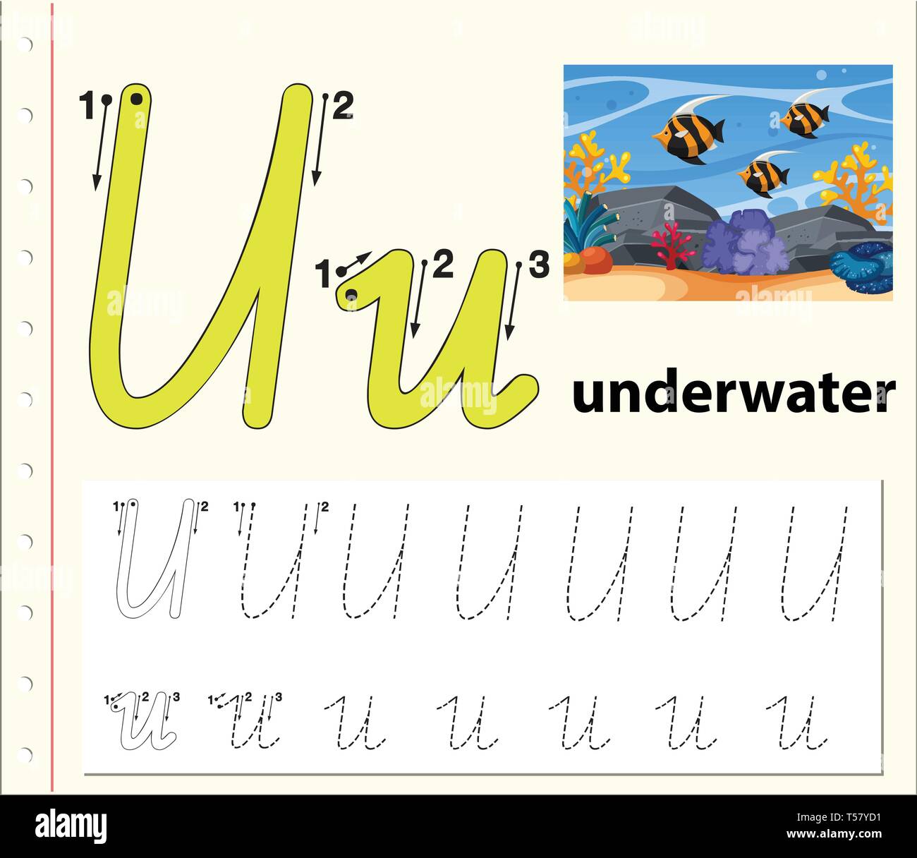 Letter U tracing alphabet worksheets illustration Stock Vector Image ...