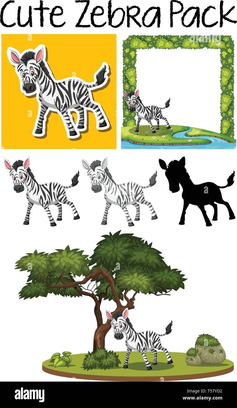 Pack of zebra pack illustration Stock Vector Image & Art - Alamy