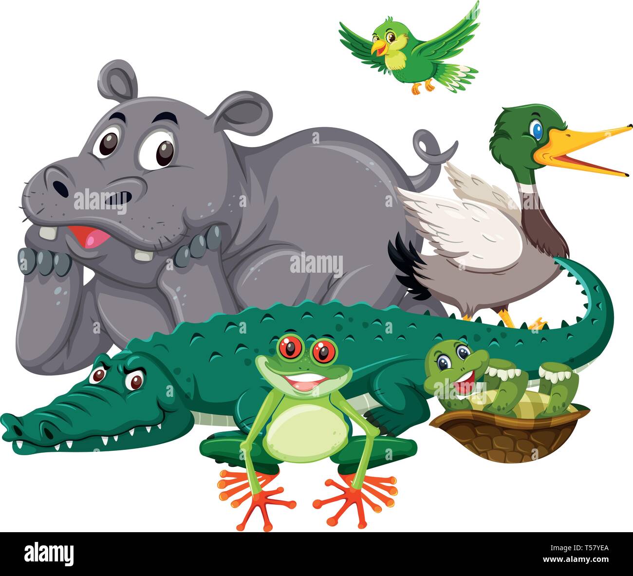 Group of wild animal illustration Stock Vector Image & Art - Alamy