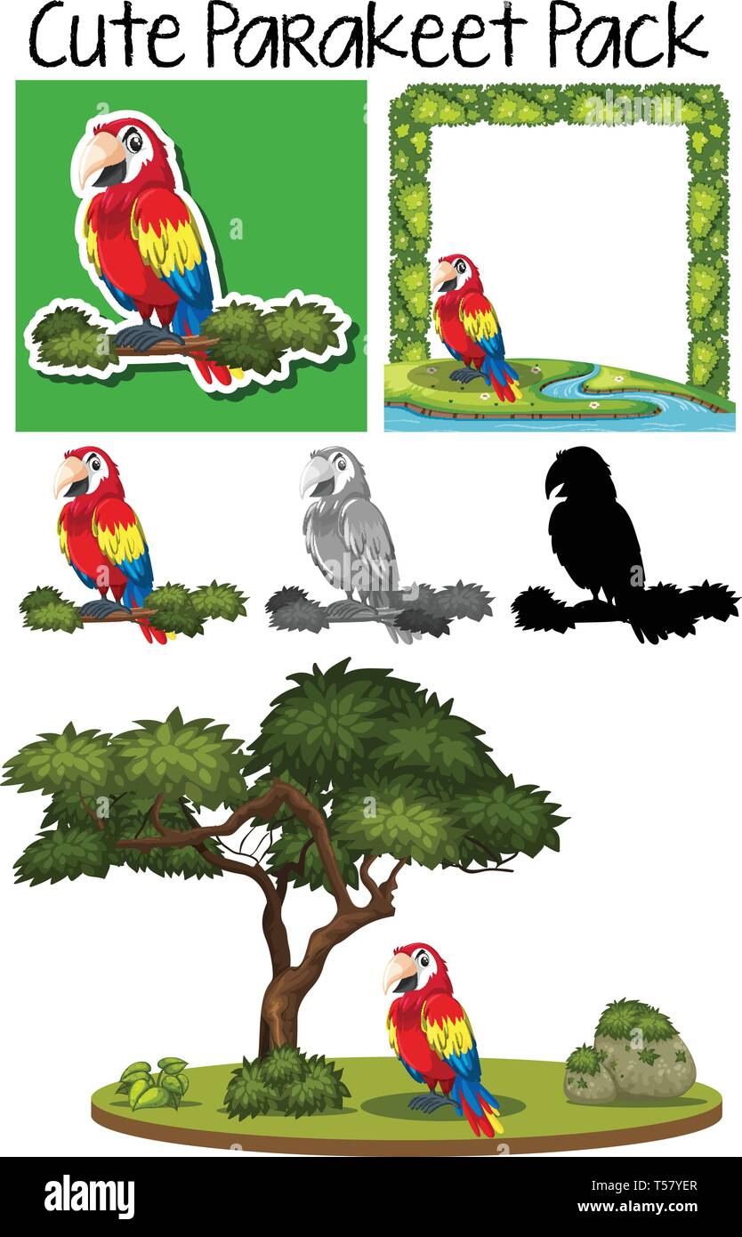 Cute pack of parakeet illustration Stock Vector Image & Art - Alamy