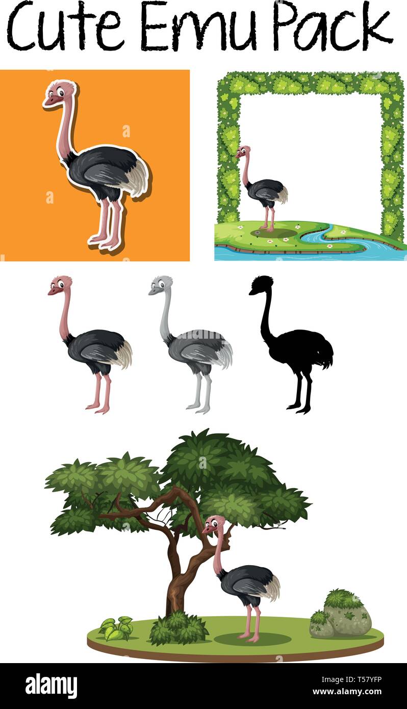 Pack of cute emu illustration Stock Vector Image & Art - Alamy