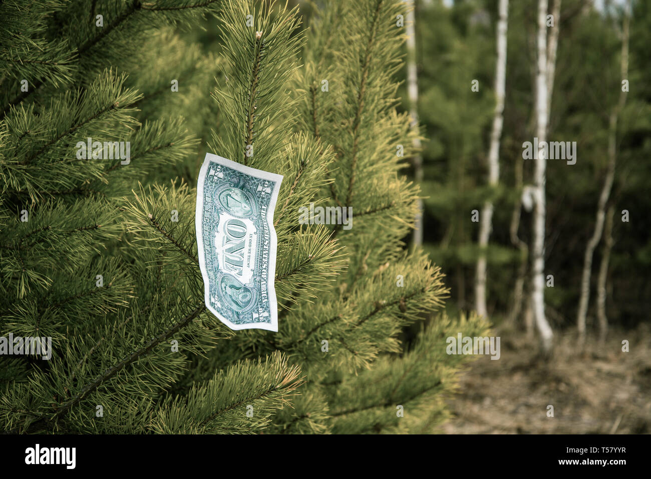 Business concept one dollar hi-res stock photography and images - Alamy