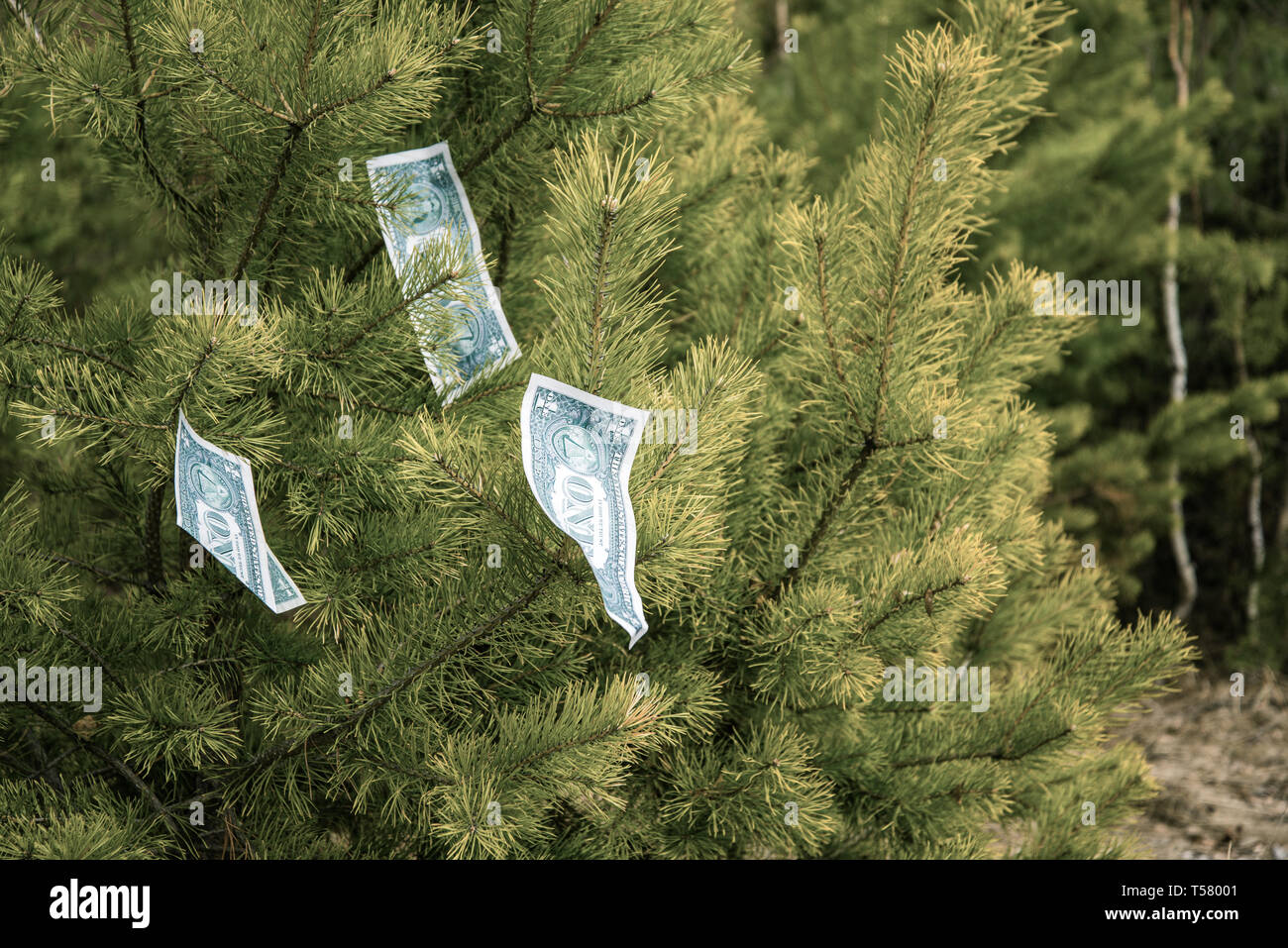 Banknote bills hi-res stock photography and images - Alamy